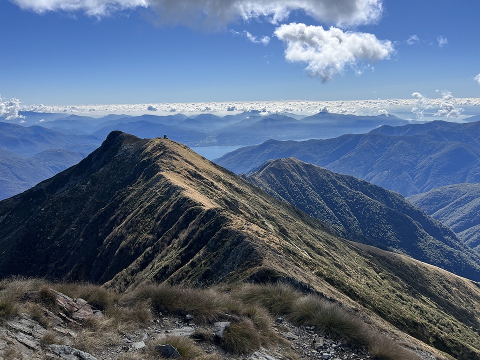 SV Leobendorf: Mustafic und Kruder verlassen nach kurzer Zeit den Verein