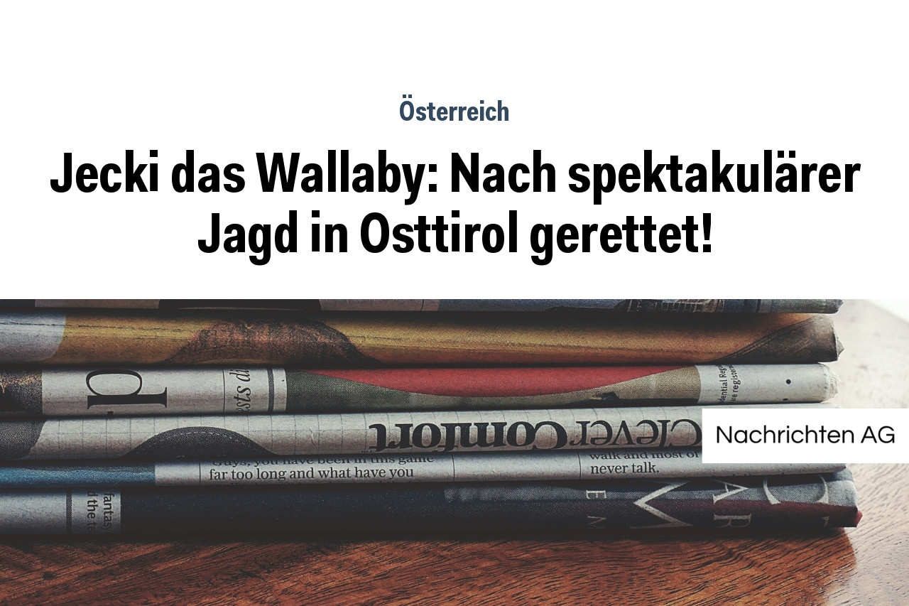 Jecki das Wallaby: Nach spektakulärer Jagd in Osttirol gerettet!